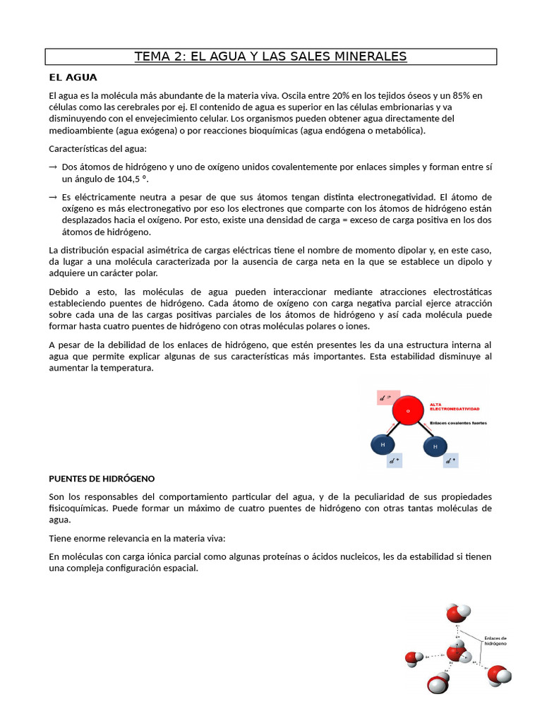 TEMA 2 | PDF | Propiedades del agua | Agua