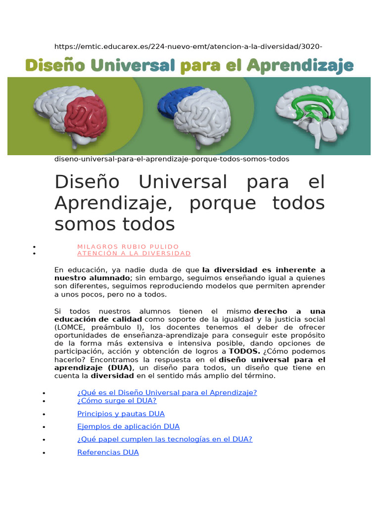 Diseño Universal para el Aprendizaje DUA | PDF | Aprendizaje | Plan de ...