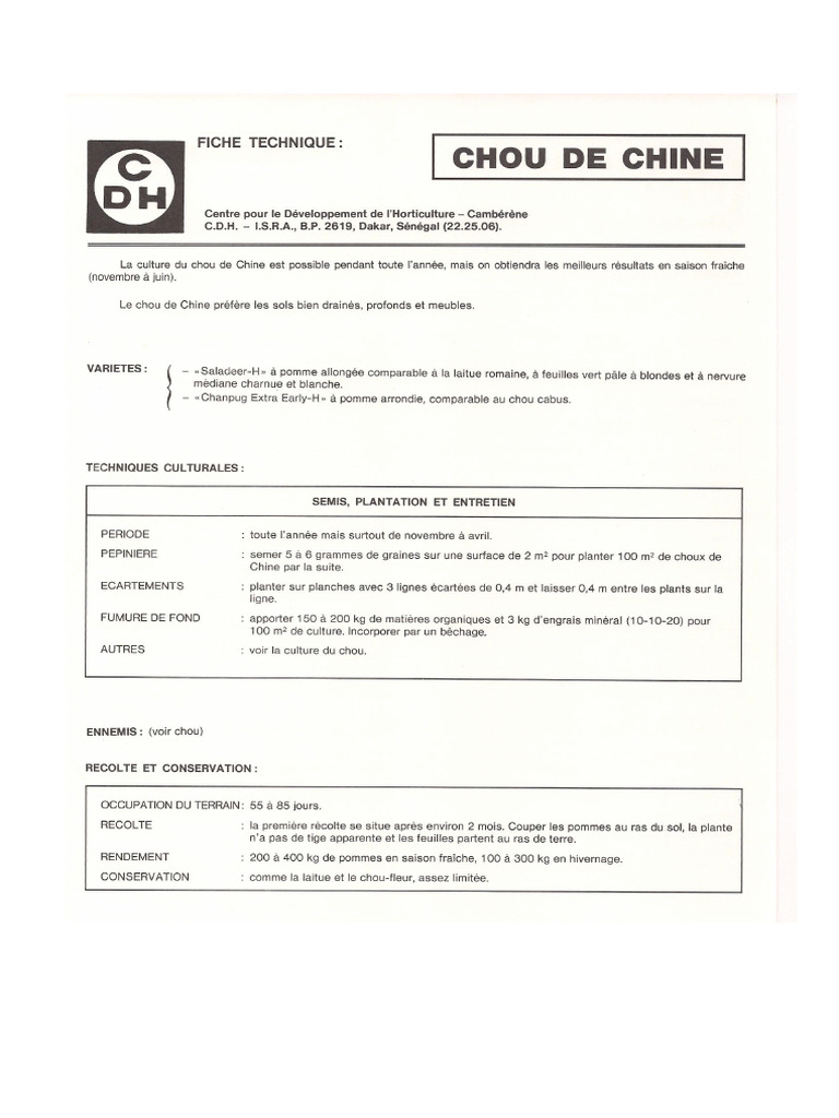 Fiche Technique Chou de Chine ISRA CDH | PDF