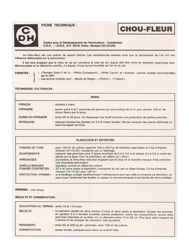 Fiche Technique Chou Fleur ISRA CDH | PDF