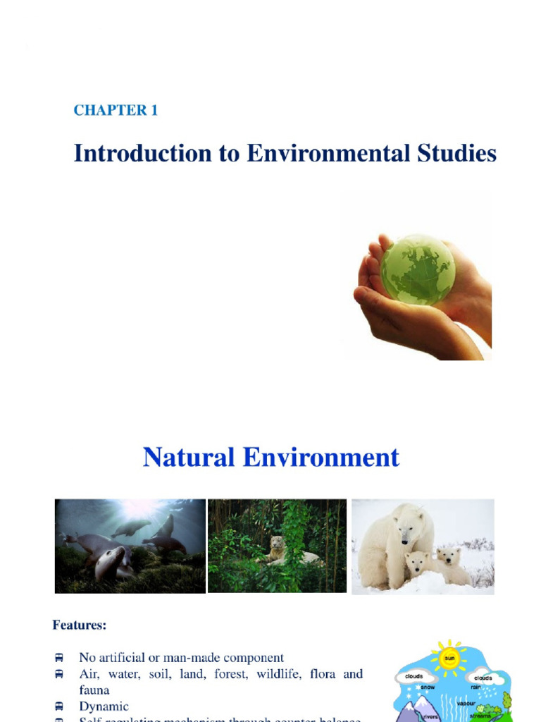 Audit Course Ppt | PDF