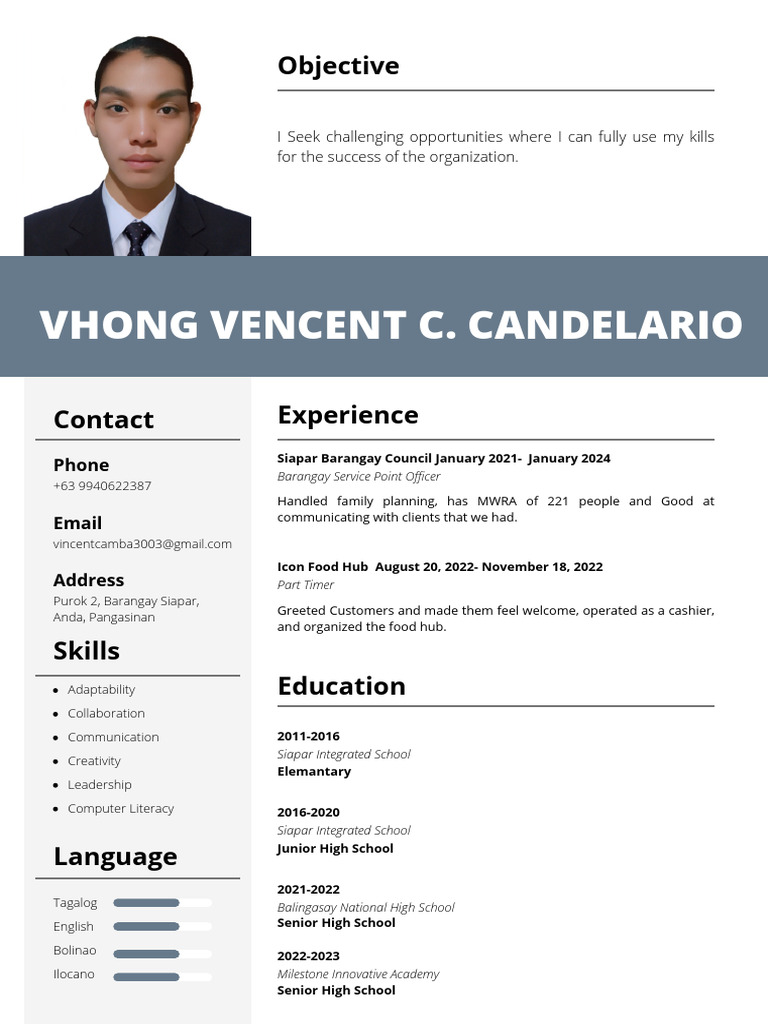 Gray Formal Professional Resume - 20241119 - 175527 - 0000 | PDF ...