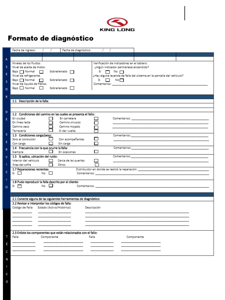 Formato de Diagnóstico KING LONG | PDF