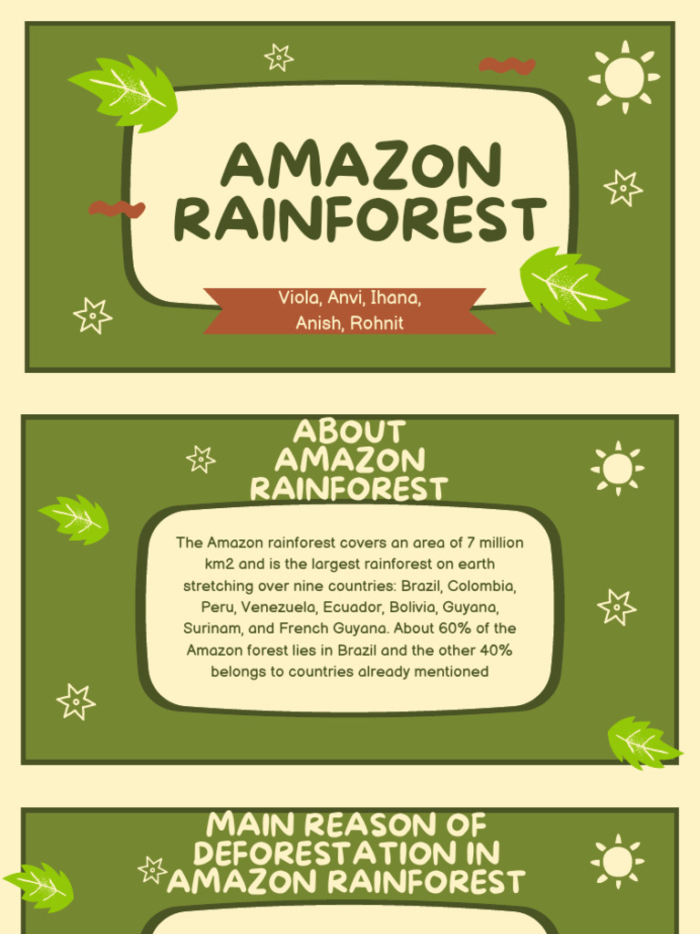 Amazon rainforest | PDF