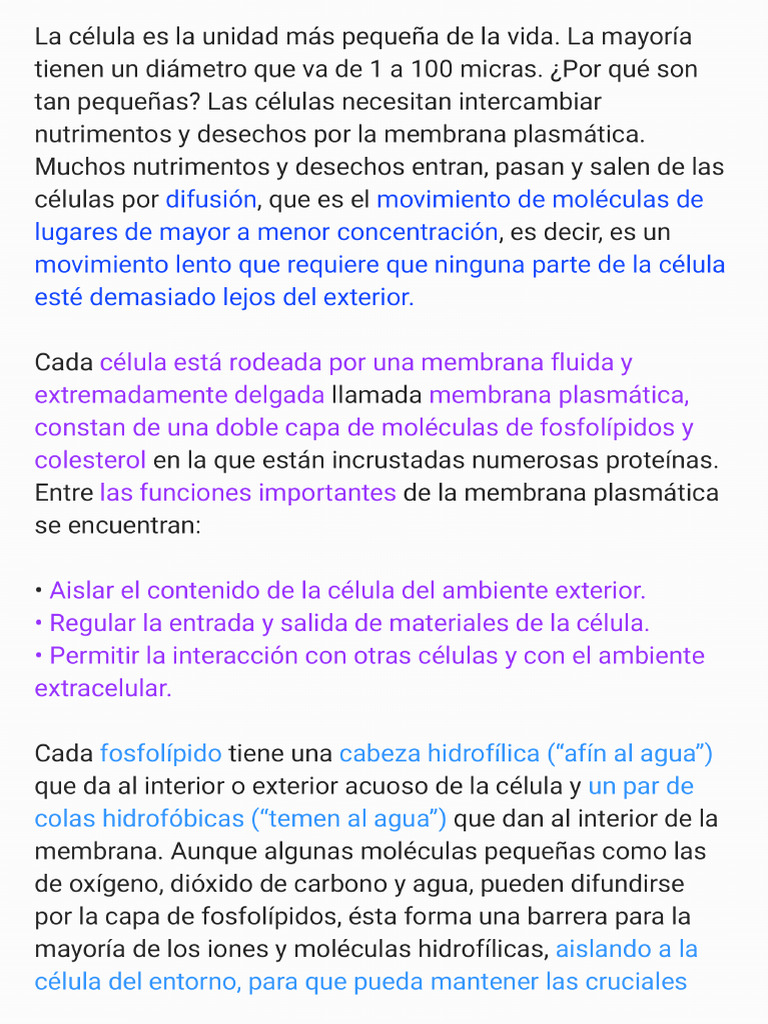 Repaso Rápido Células - 241211 - 111145 | PDF