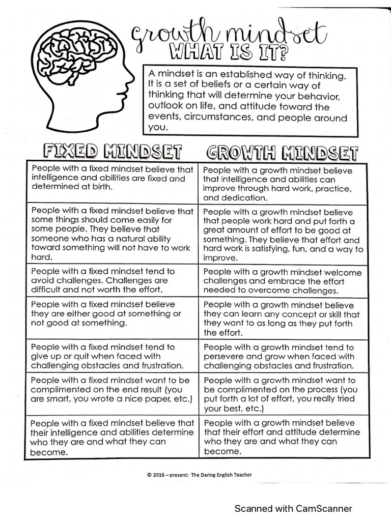Kami Export - Hayden Andersen - Growth Mindset Survey | PDF | Mindset | Behavior Modification