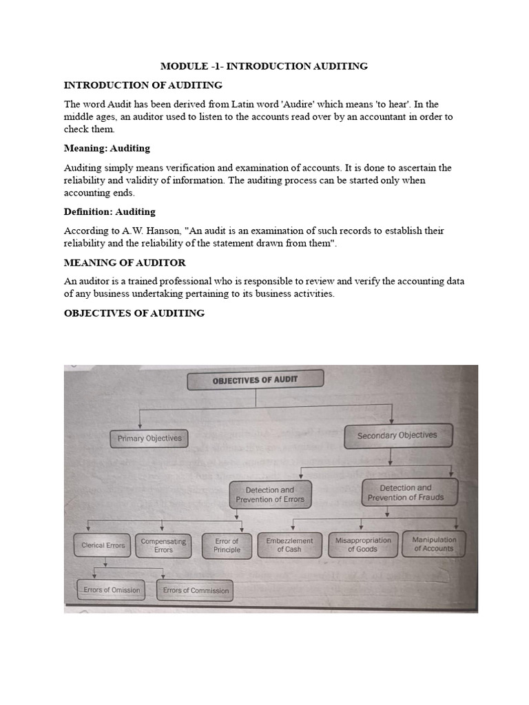 Principles and Practice of Auditing Introduction | PDF | Audit ...