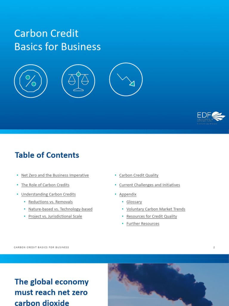 Carbon Credit Basics For Business 1 | PDF | Climate Change Mitigation ...