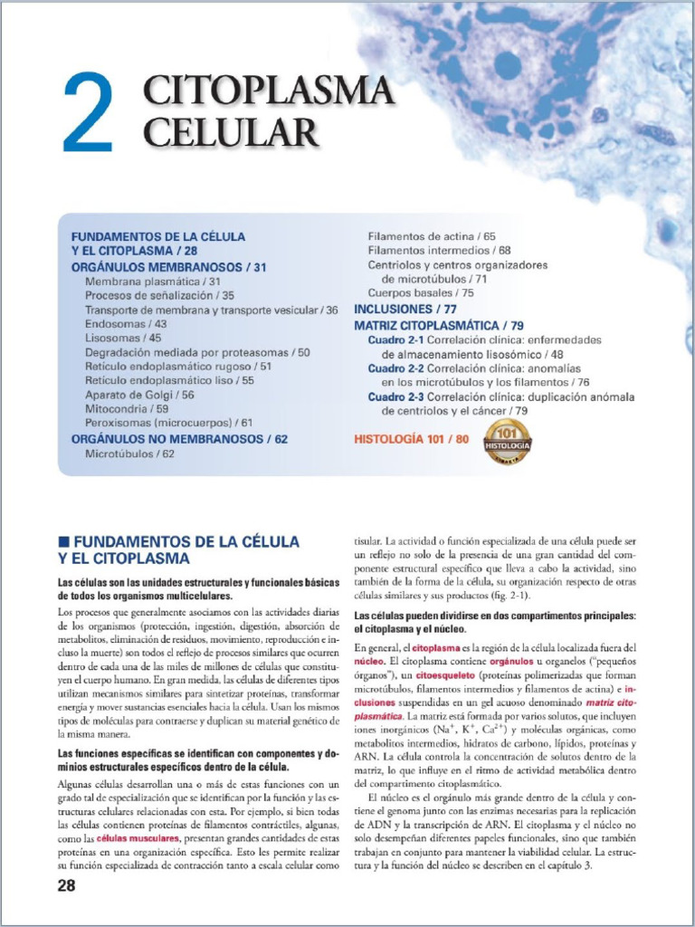 Citoplasma Celular- ROOS 8va Edicion | PDF