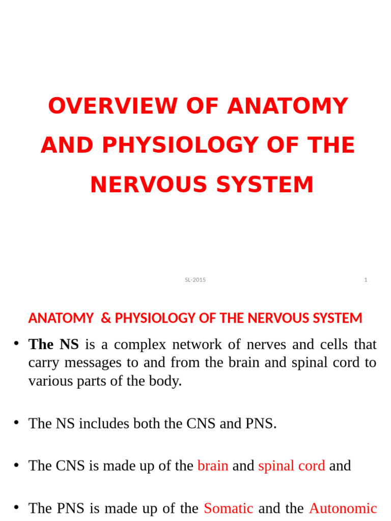 Nervous System Anatomy & Physiology Guide | PDF | Neurotransmitter | Neuron