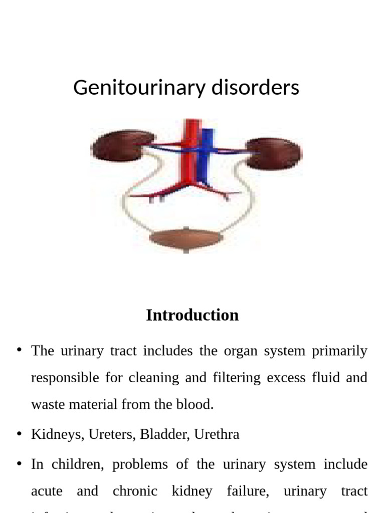 Understanding Genitourinary Disorders in Children | PDF | Edema | Kidney