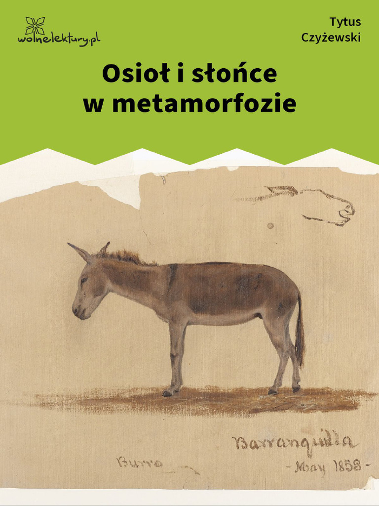 czyzewski-osiol-i-slonce-w-metamorfozie | PDF