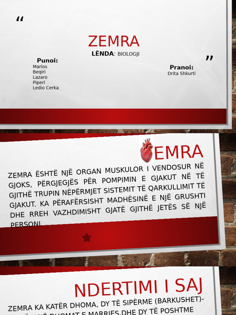 Zemra | PDF