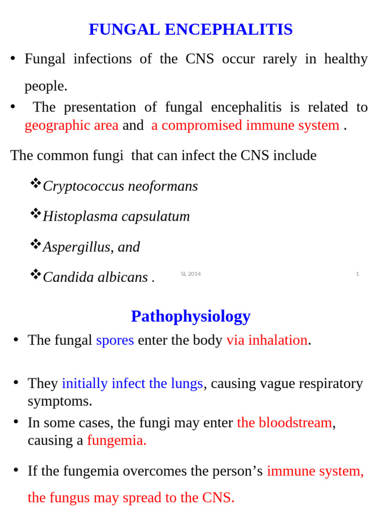 Fungal Encephalitis | PDF | Meningitis | Cerebrospinal Fluid