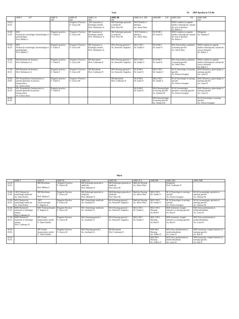 Orar SI 2024-2025 | PDF