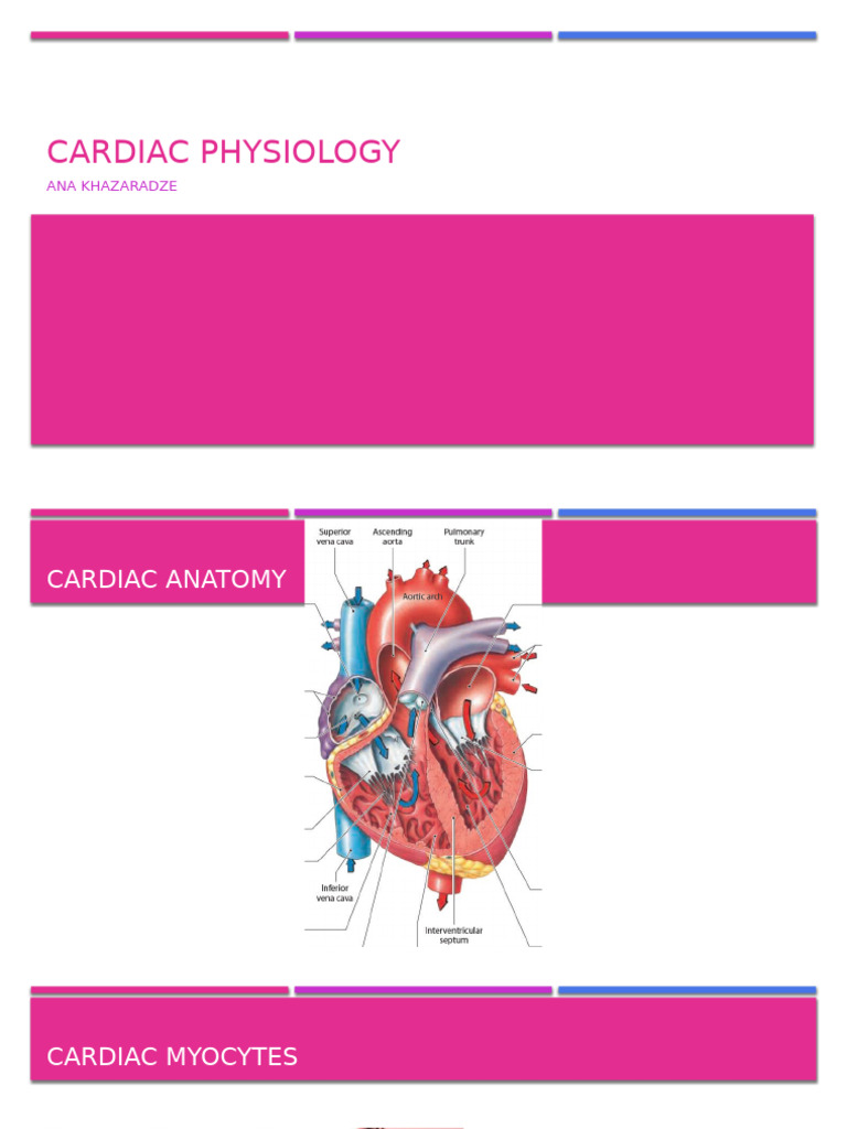 Cardiac Physiology | PDF