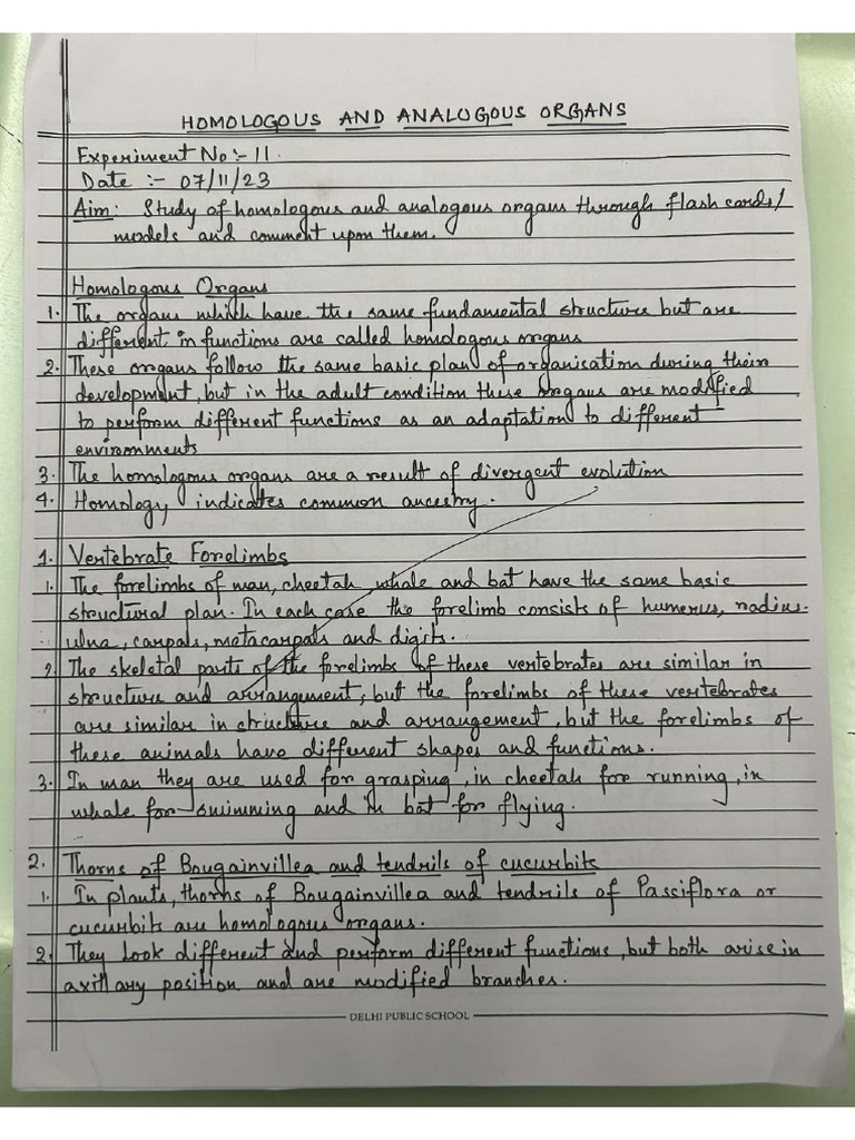 Homologous and Analogous Organs B10 | PDF