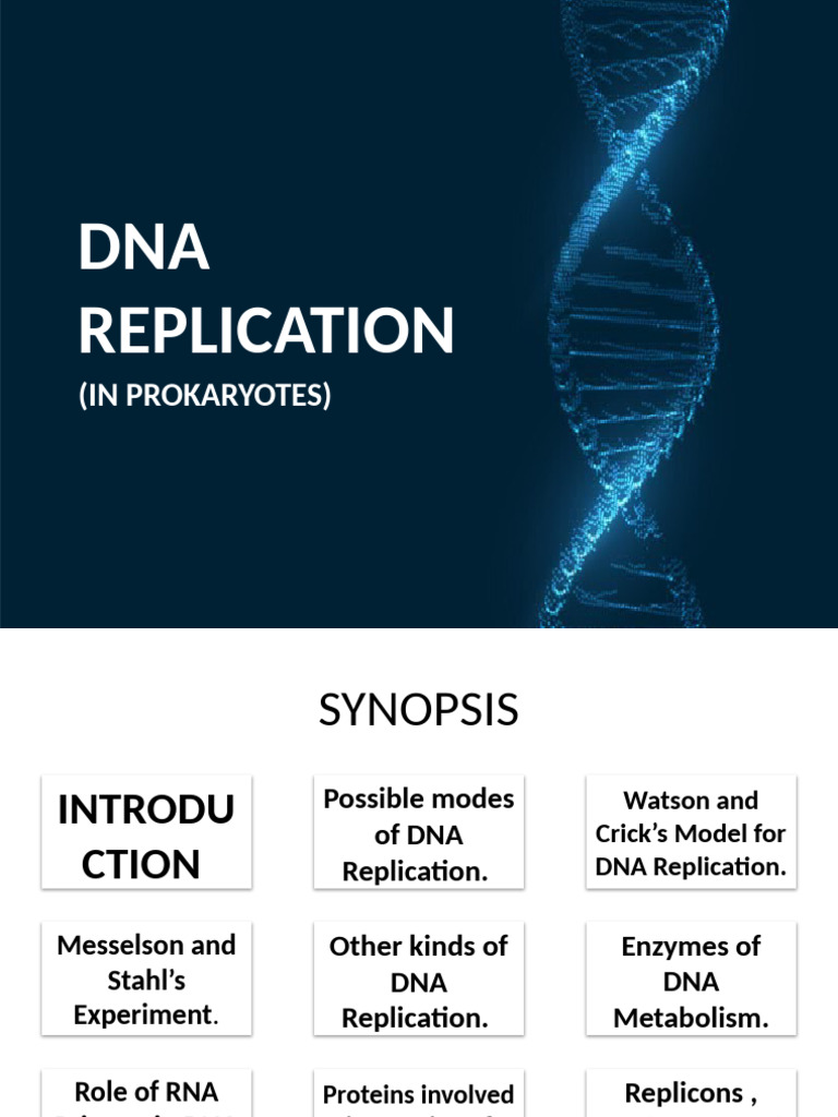Dna Replication in Prokaryotes | PDF | Dna Replication | Primer ...