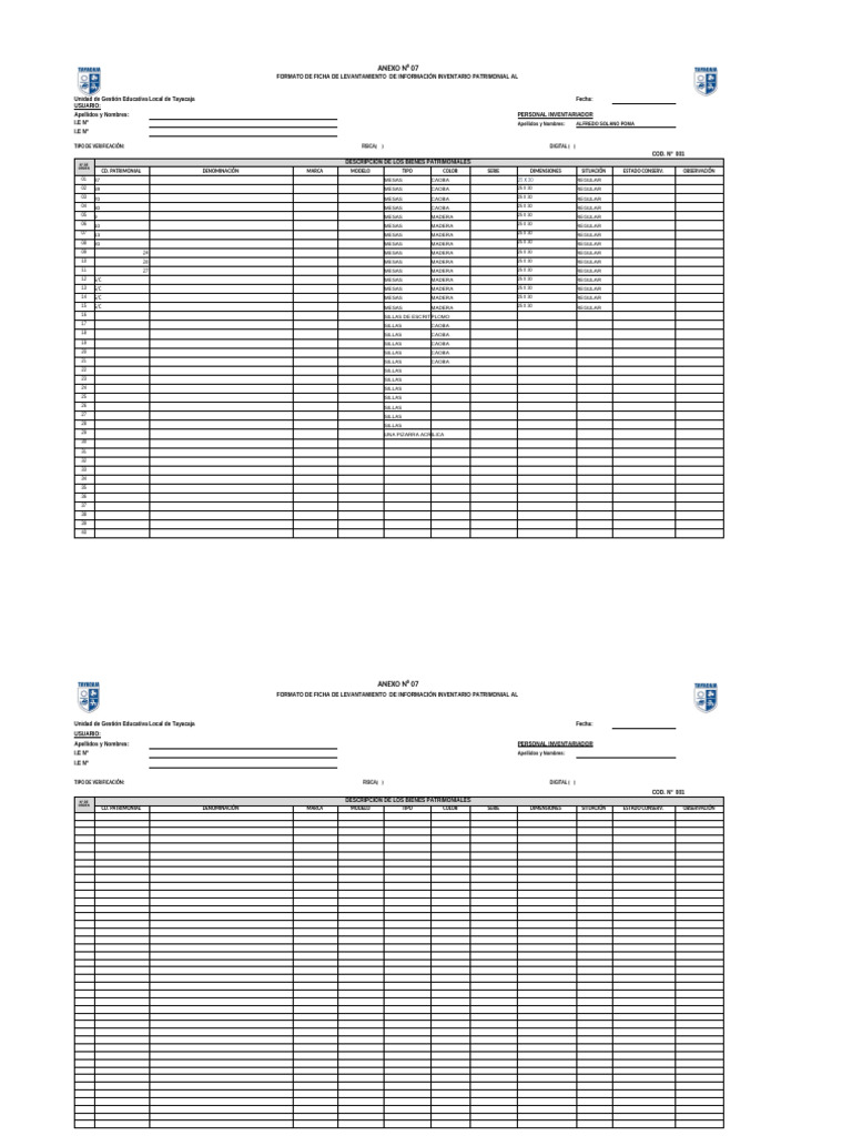 Ficha de Levantamiento 2024 Formato N 7 | PDF