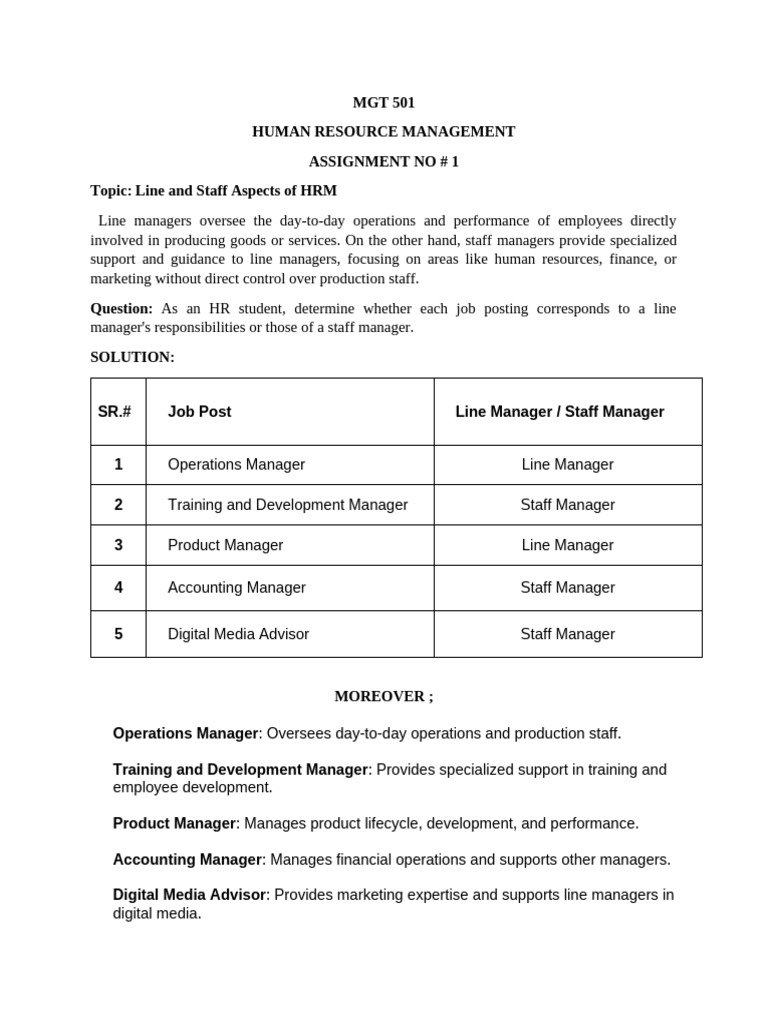 MGT 501 Assignment no 1 | PDF
