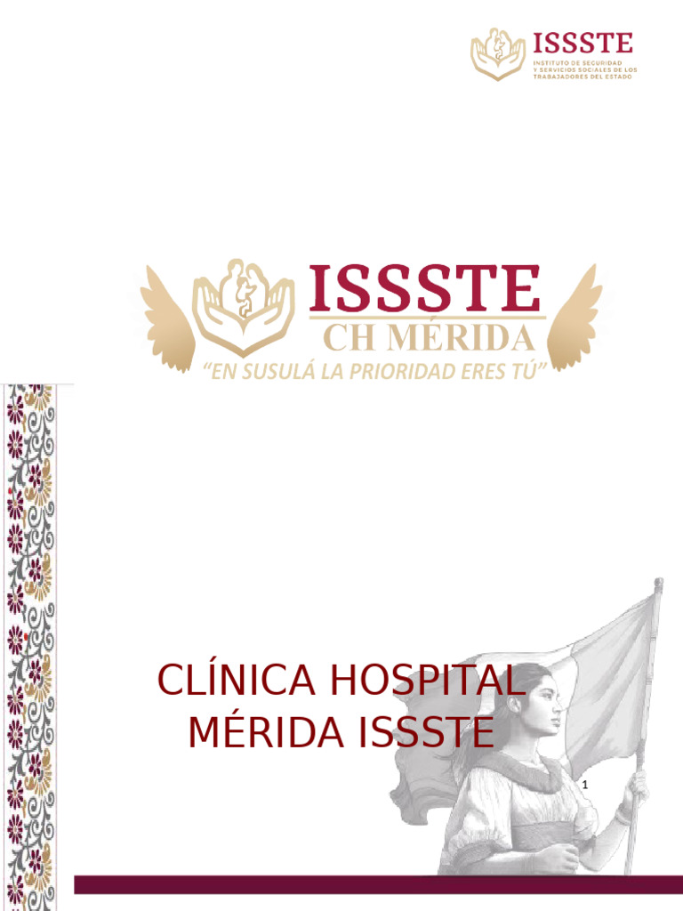 Carpeta Gerencial 2025 12 Completo | PDF | Enfermería | Hospital