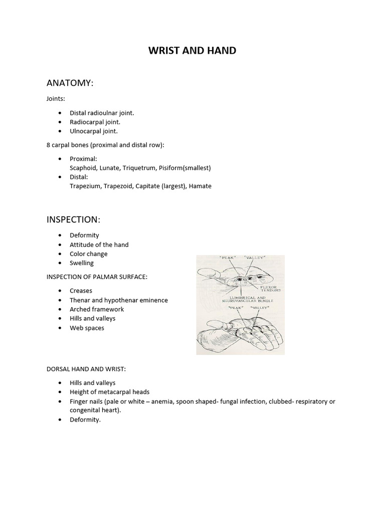 Wrist and Hand PDF | PDF | Hand | Finger