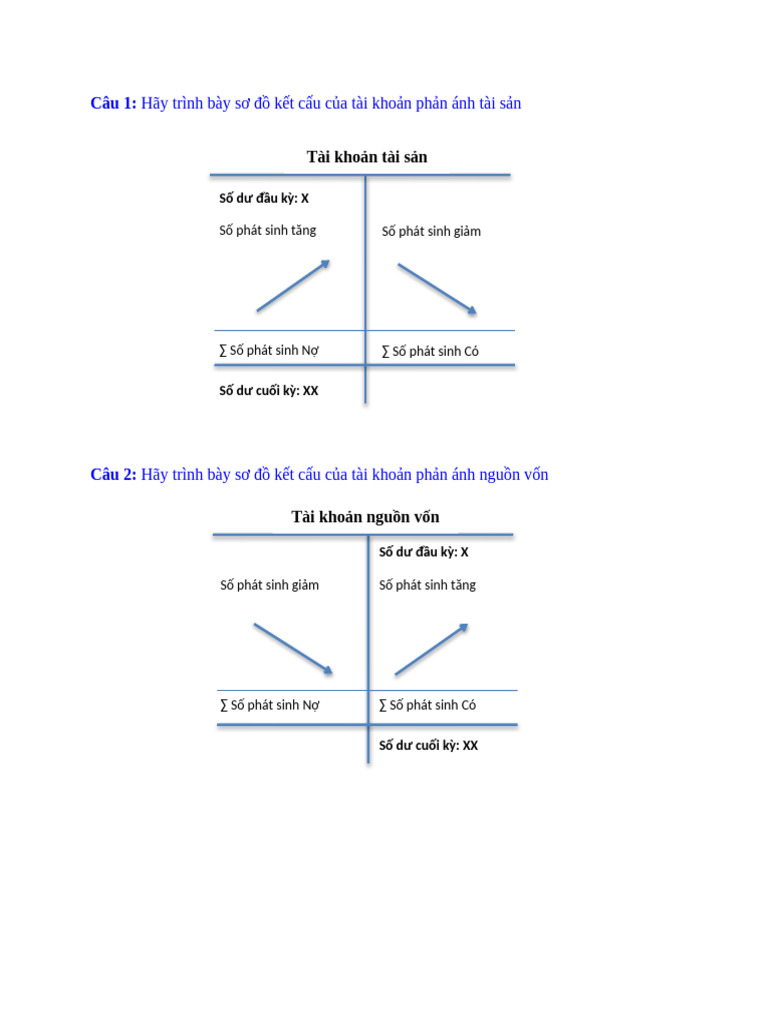 Cau Hoi On Tap | PDF