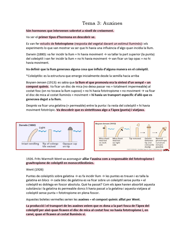 Apunts Vegetal | PDF