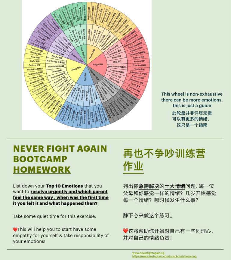 Emotions Wheel | PDF