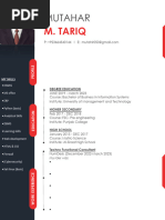 Big 4 CV Template Guide | PDF