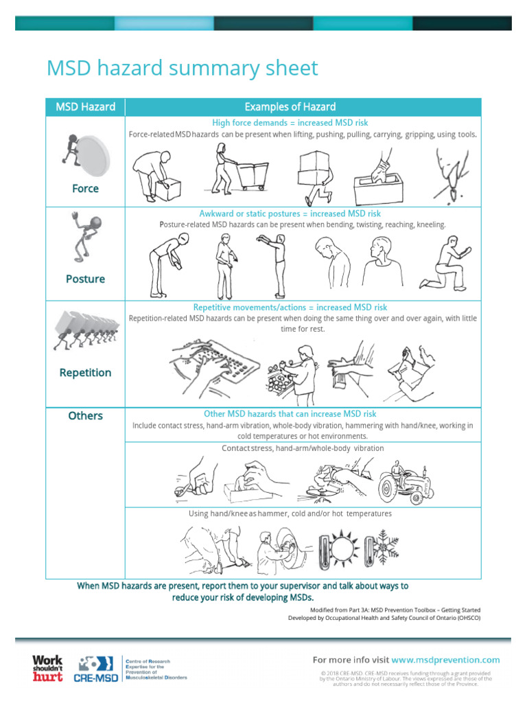 MSD Hazard Summary Sheet | PDF