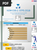 Norma Oficial Mexicana Nom-036-1-Stps-2018 | PDF | Factores humanos y ...