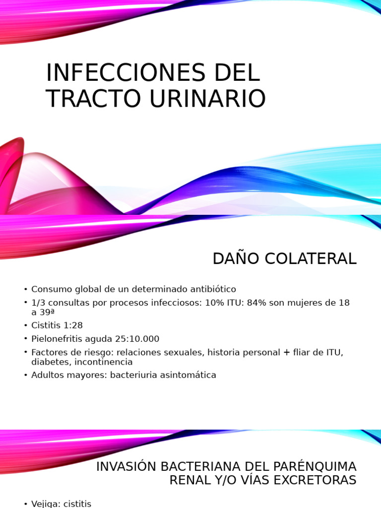 Infecciones Urinarias: Guía Completa | PDF | Infección del tracto ...