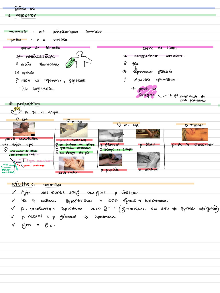 Semio Vasculaire | PDF