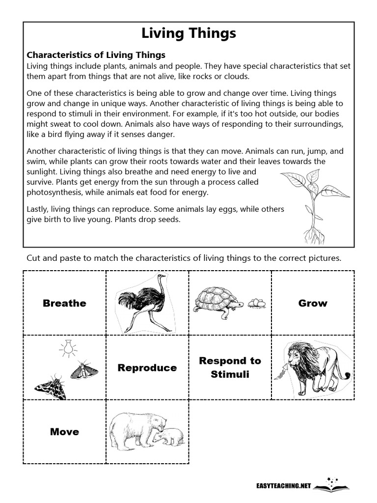 Characteristics of Living Things | PDF