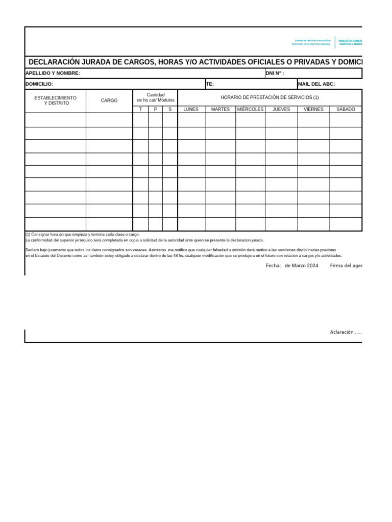 Modelo de DDJJ - 2024 | PDF