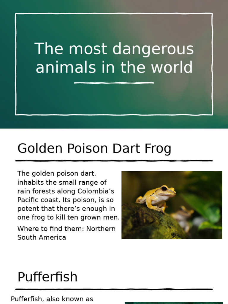 Most Dangerous Animals Worldwide | PDF