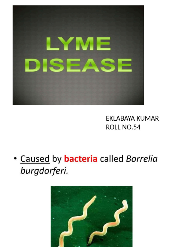 Lyme Disease | PDF