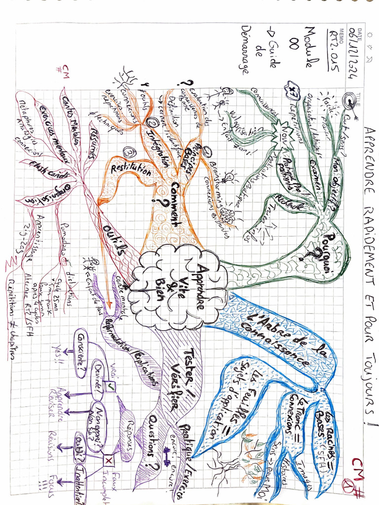 CM#1: Rt2.015: Module 00 | PDF