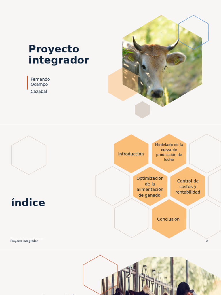 Proyecto Integrador | PDF | Integral | Pasto