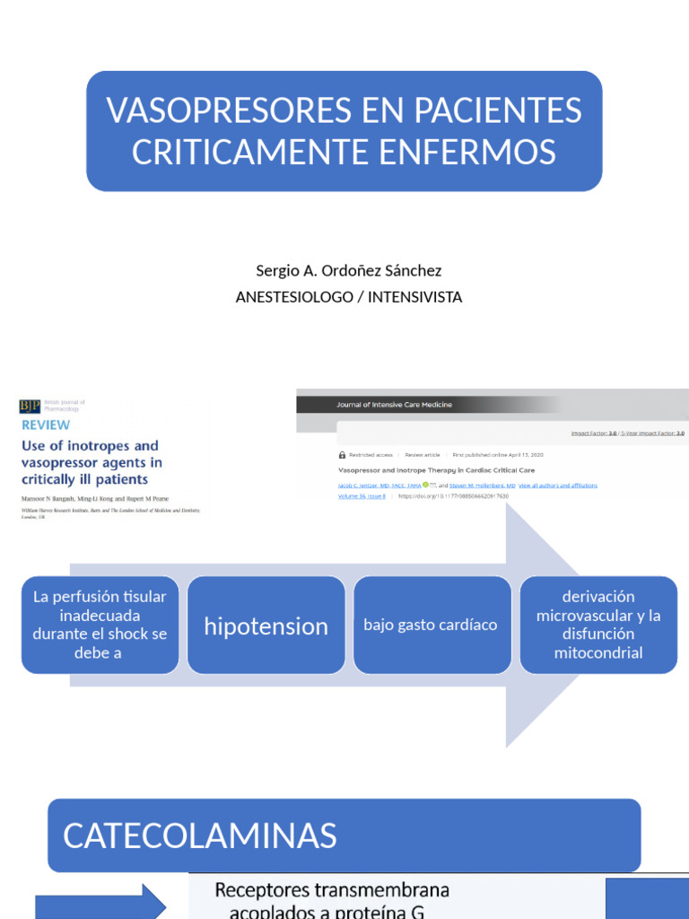 Vasopresores e Inotropicos en Uci | PDF | Causas de la muerte | Fisiología