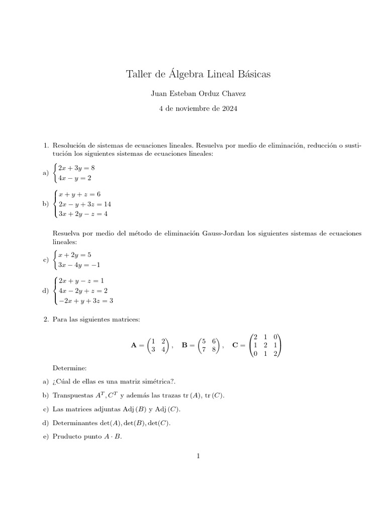 Taller de Álgebra Lineal Básica | PDF | Matriz (Matemáticas) | Determinante