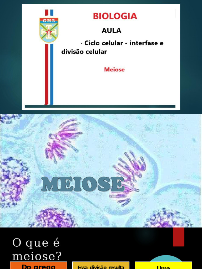 Aula - Meiose | PDF | Meiose | Ciências da Vida
