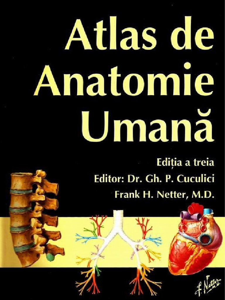 Atlas Anatomie Netter - Romana | PDF
