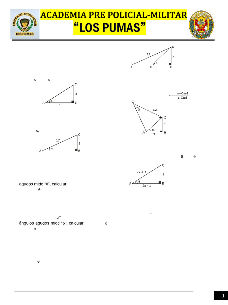 Trigon 3 | PDF | Triángulo | Rectángulo
