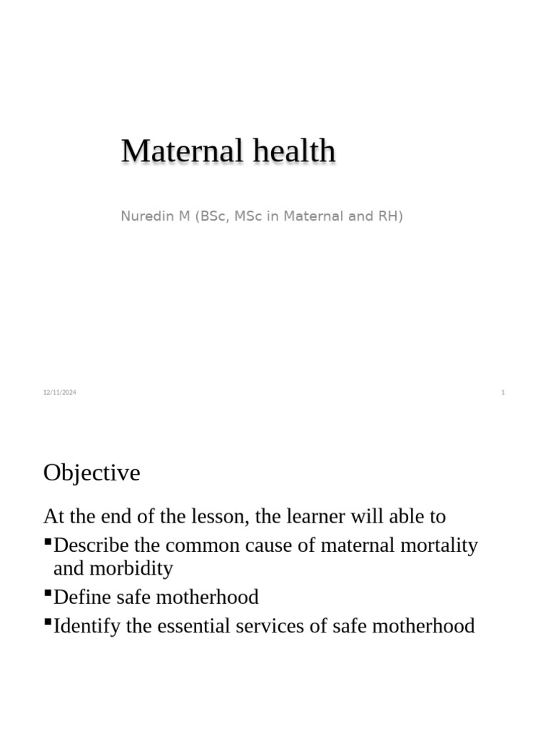 Understanding Maternal Health Risks | PDF | Maternal Health | Maternal ...