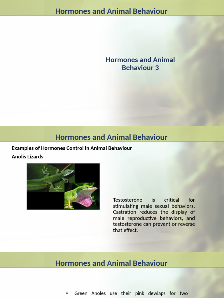 Hormones and Behaviour 3 | PDF
