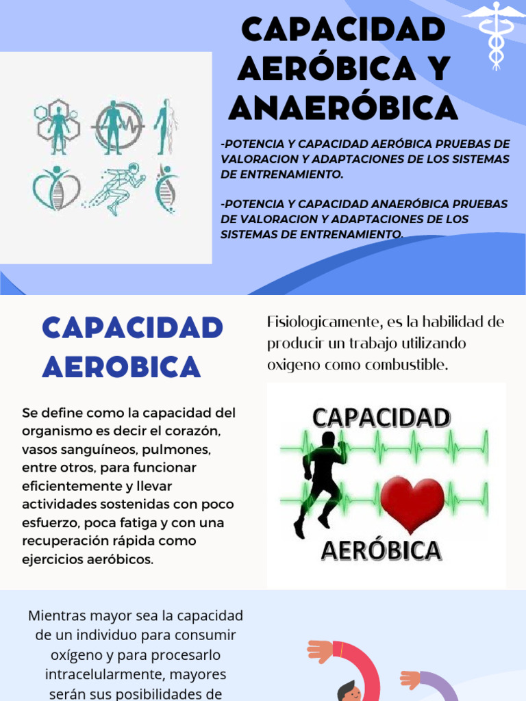 Capacidad Aeróbica y Anaerobica | PDF | Músculo | Contracción muscular