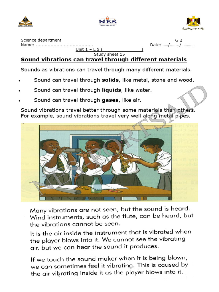 G2 - Block 1 - Unit 1 - Lesson 5 | PDF | Sound | Senses