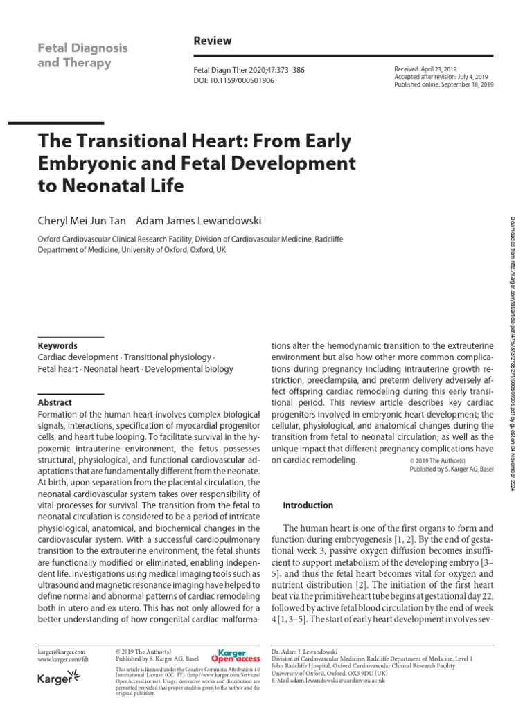 The Transitional Heart - From Early Embryonic and Fetal Development To ...